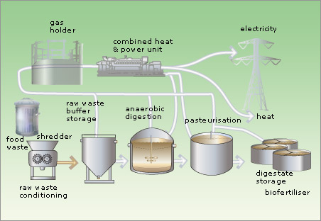 Technology - Biodigestion Detail | Rutherford Renewables